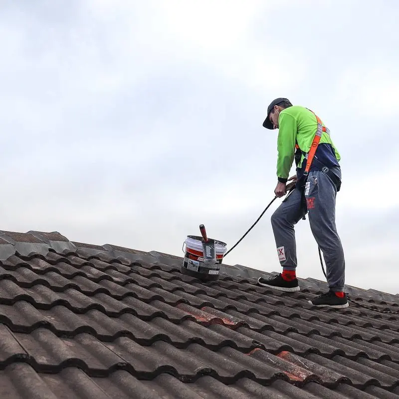 Roof Cleaning Howick | Expert House Wash & Roof Treatment - EPS